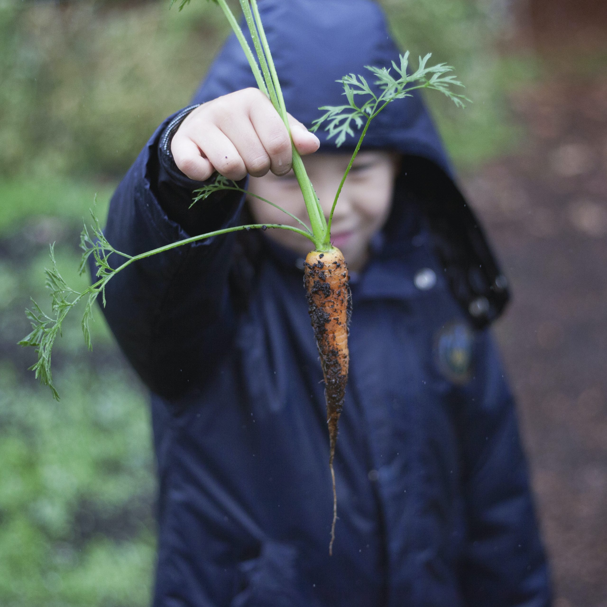 6 Vegetables Kids Will Love - FreshRoots