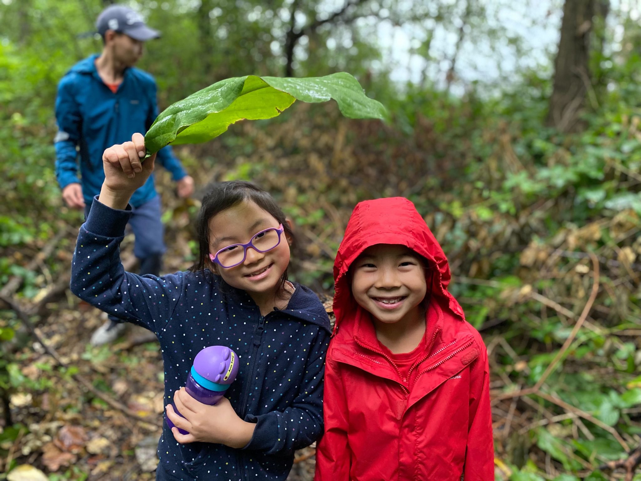 About Us | FreshRoots