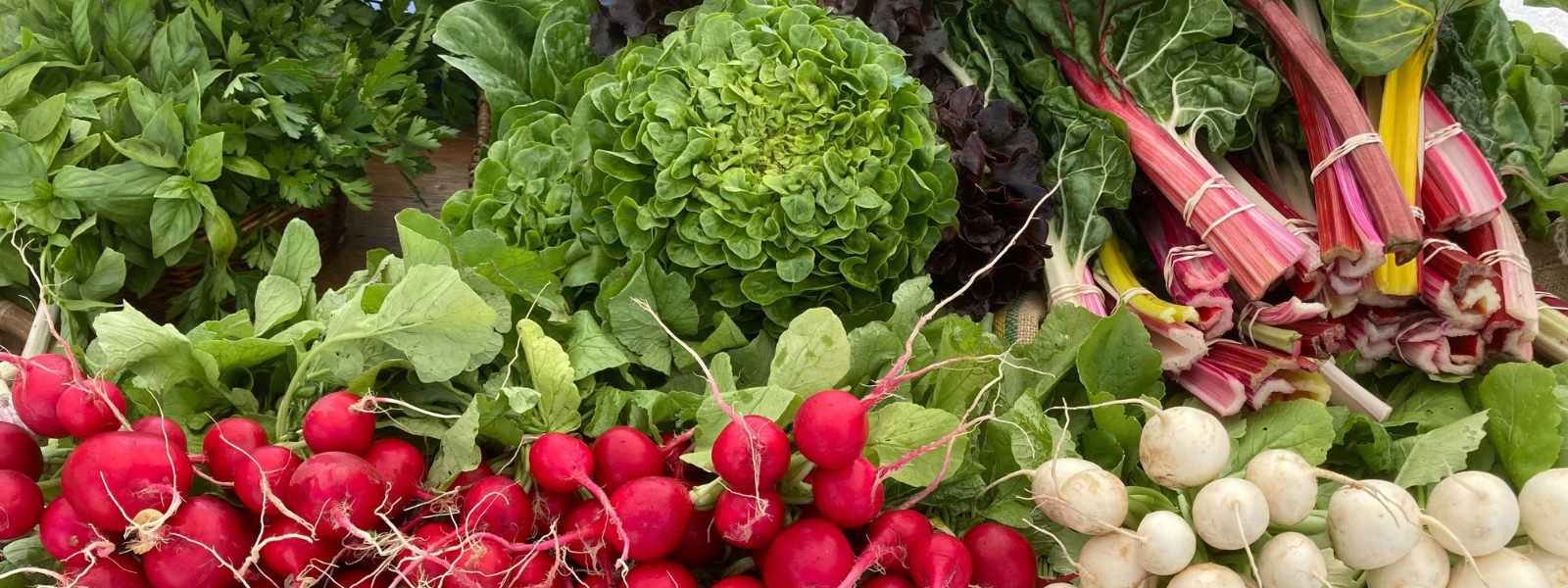 Find Our Food - FreshRoots